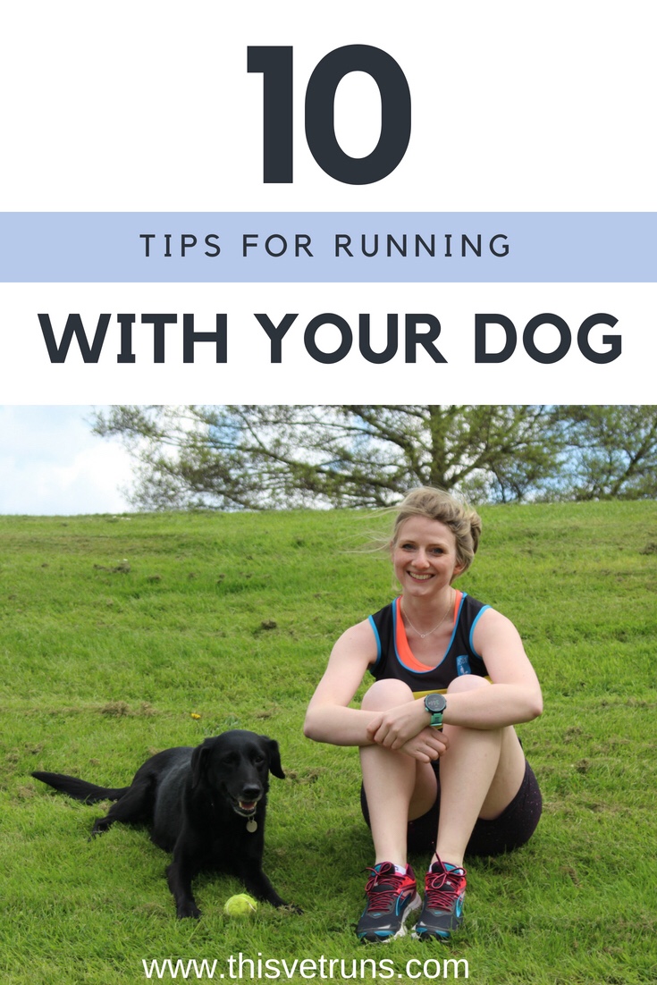Running with Dogs – This Vet Runs